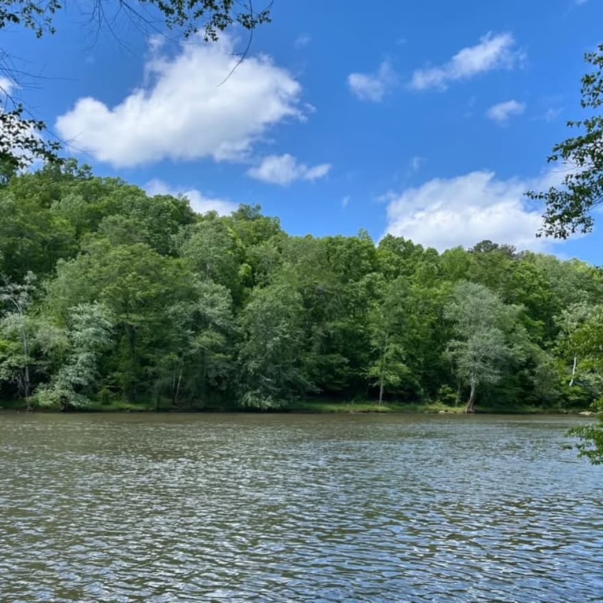 15 Great Georgia Fishing Spots That Only Locals Know About, Ranked