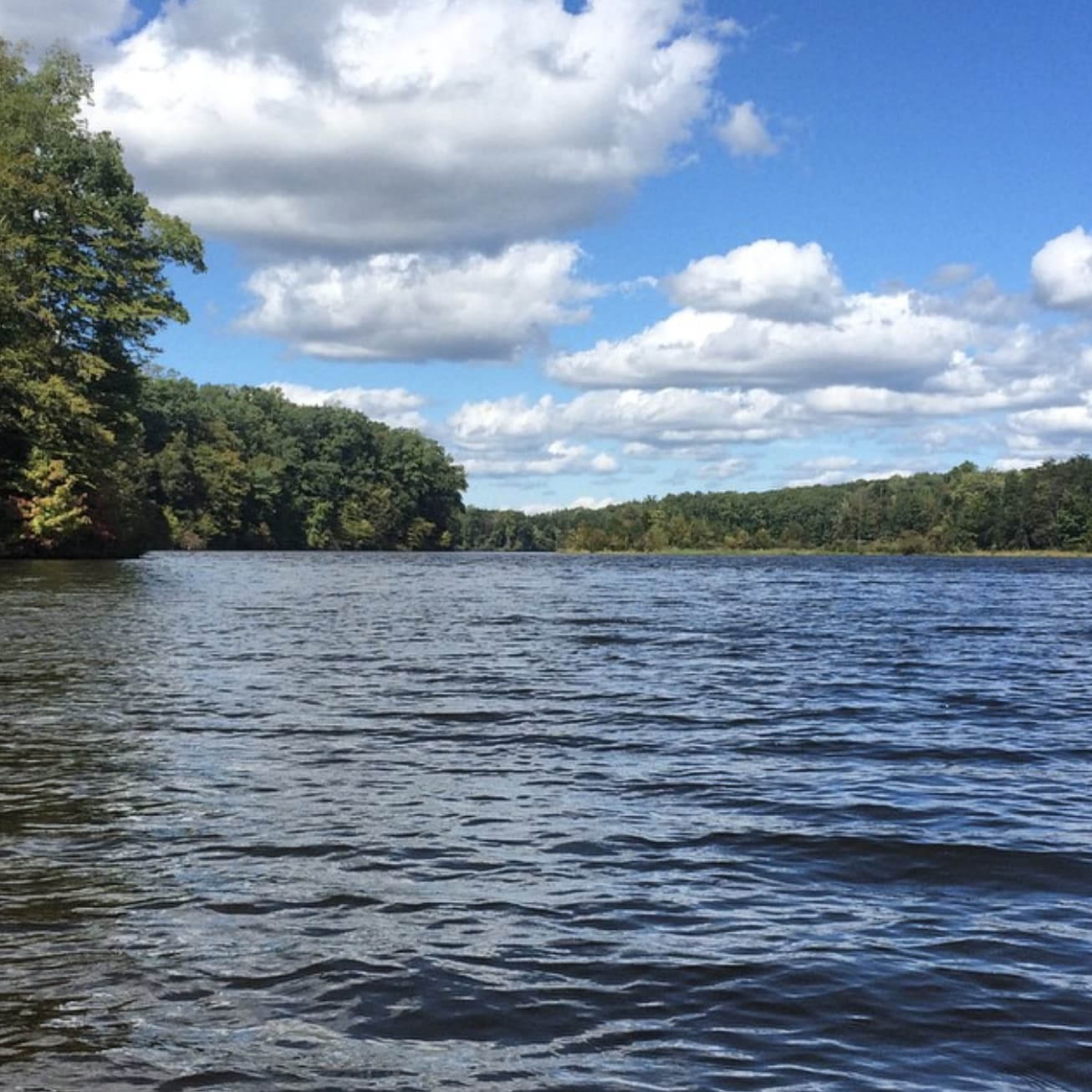 12 Great Virginia Fishing Spots That Only Locals Know About, Ranked