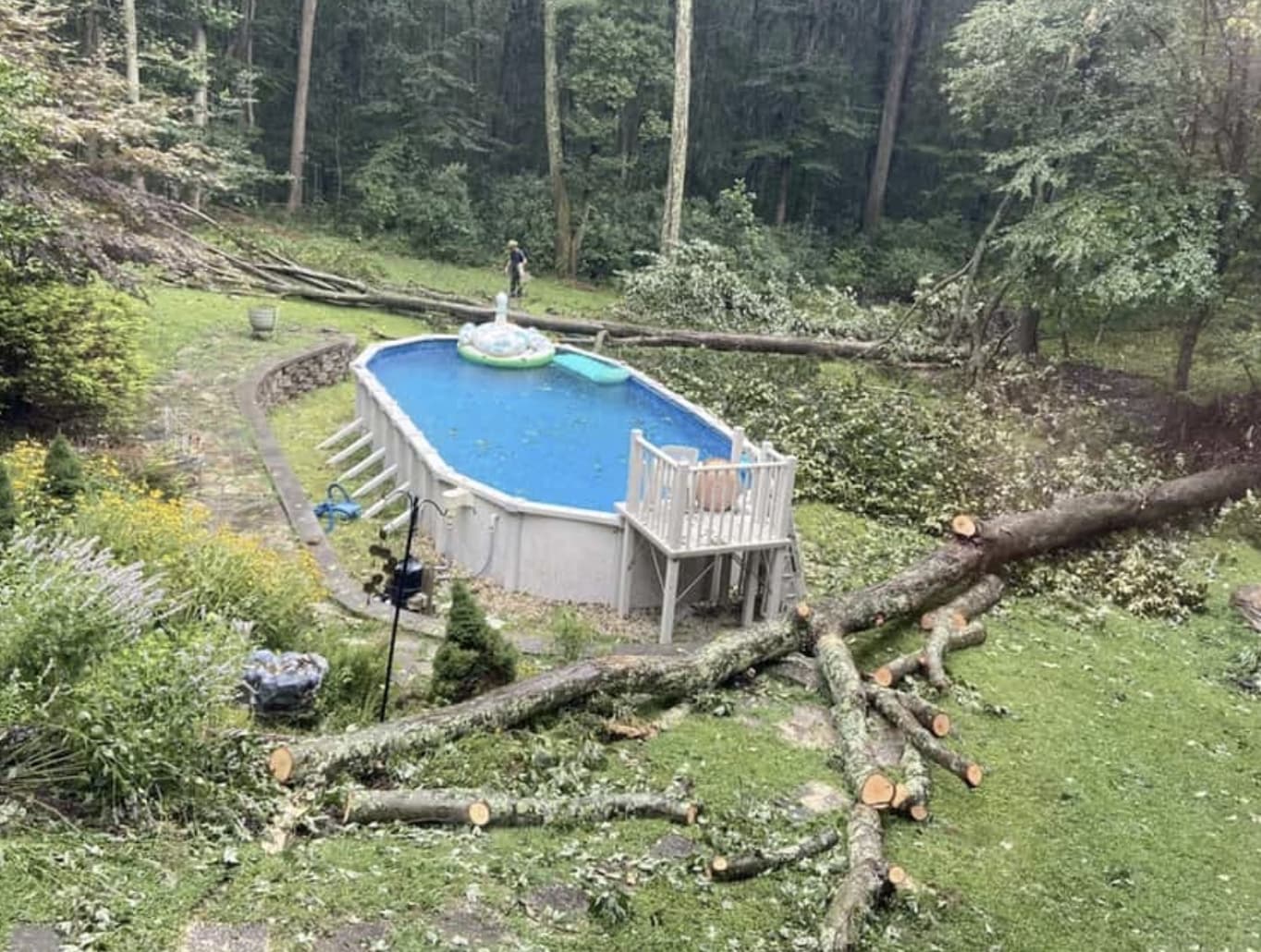 Moments That Defied The Odds And Blew Our Minds Last Year