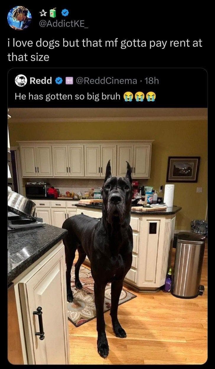 Random But Actually Funny Tweets We Found This Month That Made Us Laugh