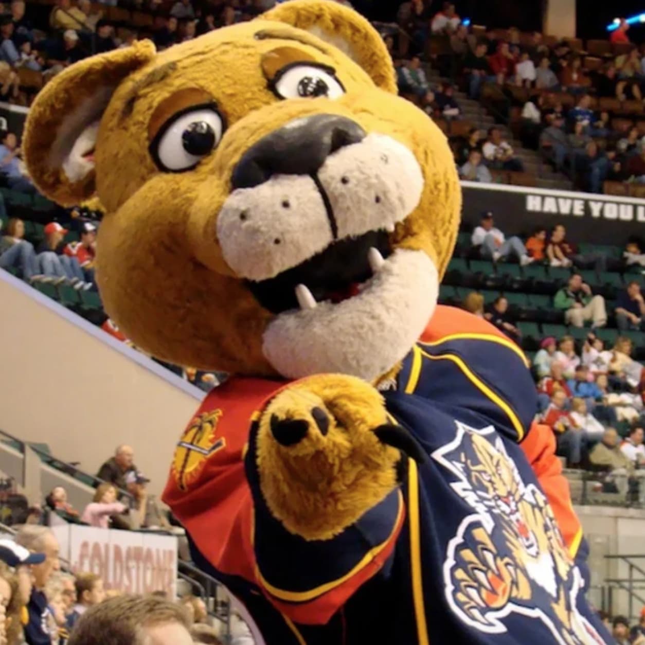 All 30 NHL Mascots, Ranked By Hockey Fans