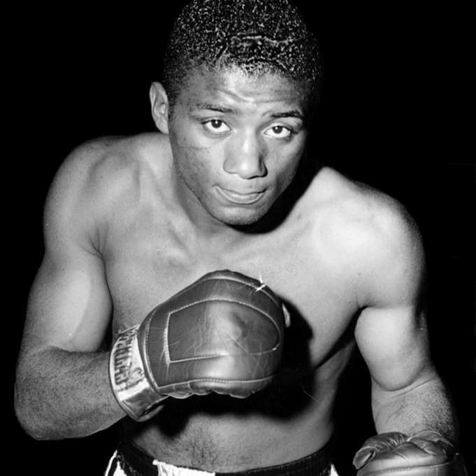 Best 1950s Boxer | List of Top Boxers of the 50s