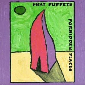 The Best Meat Puppets Albums, Ranked By Fans