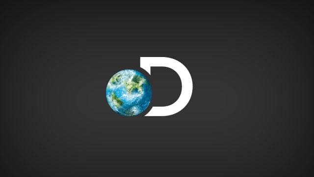 List of Dutch TV Channels | TV Stations In The Netherlands