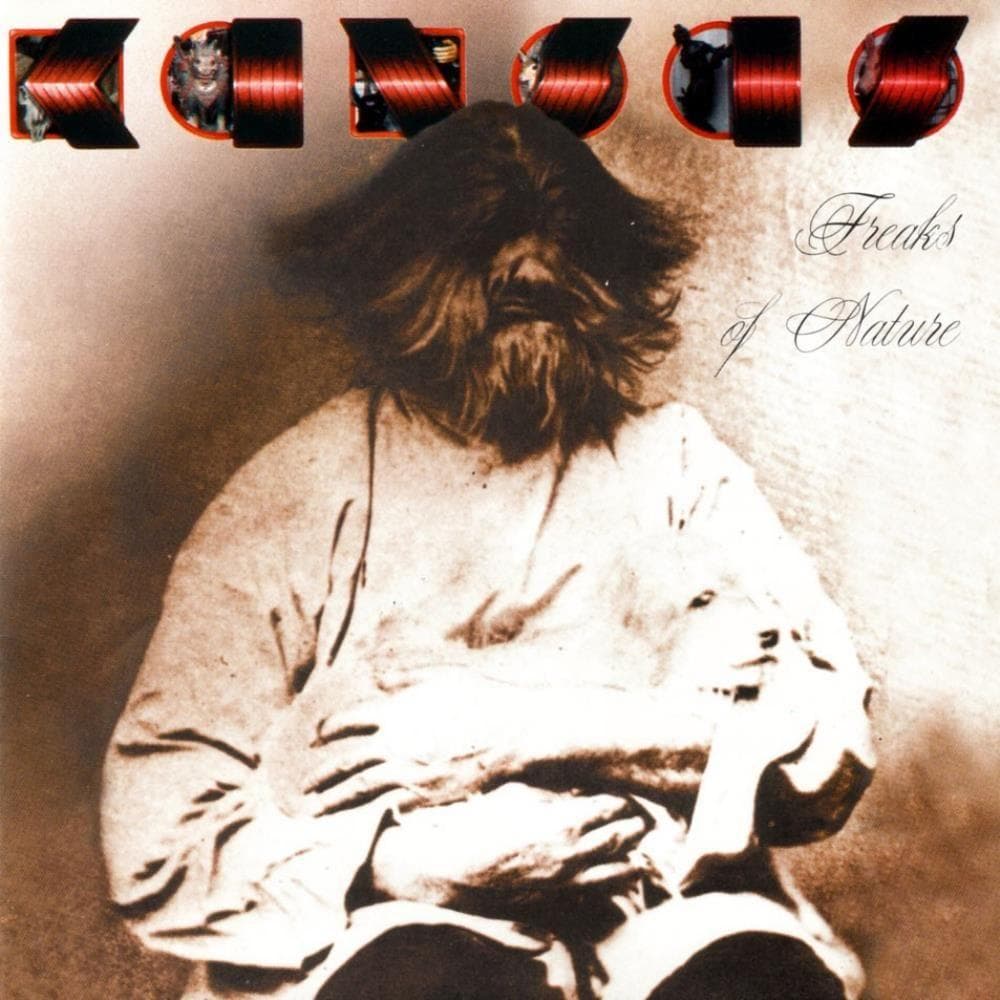 The Best Kansas Albums, Ranked By Fans