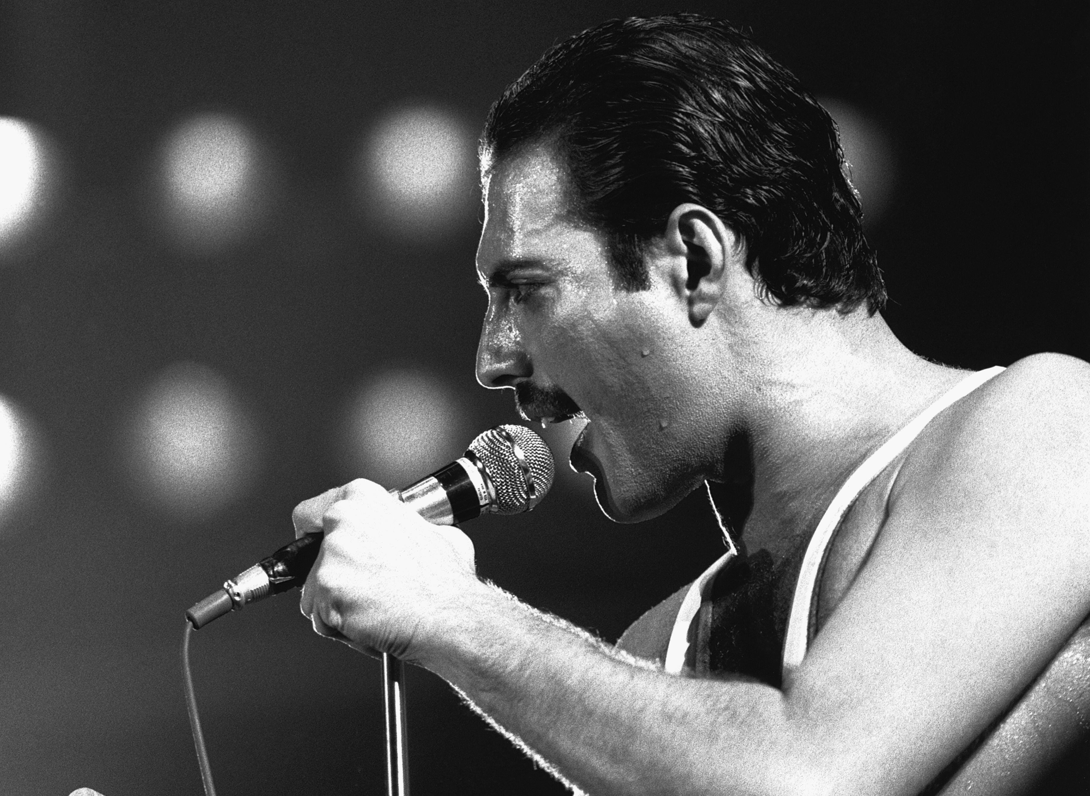 Freddie Mercury Black And White