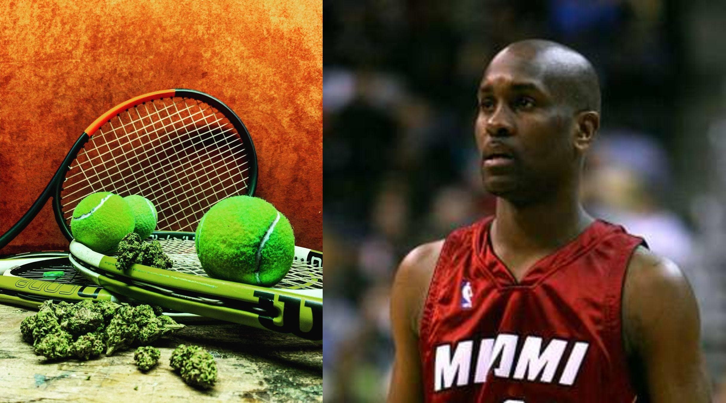 The 50+ Greatest Celeb Weed Brands, Ranked By Fans