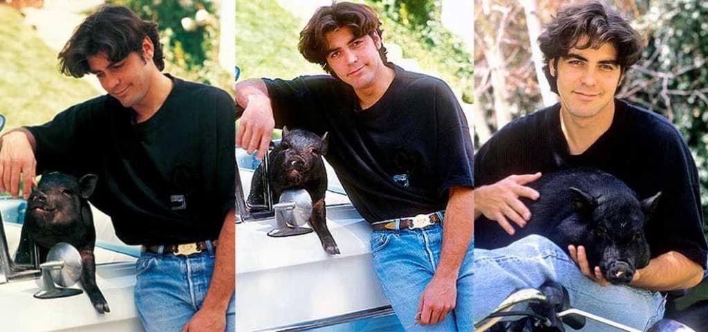 Celebrities Who Have Pet Pigs | Famous People With Pet Pigs