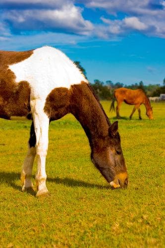 2005 Cars: List of All Cars from 2005