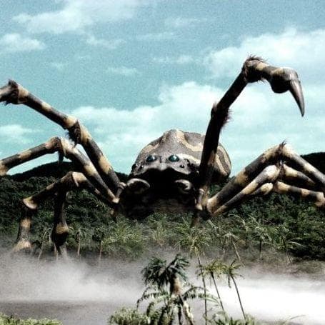 32 Scary Movies With Spiders, Ranked