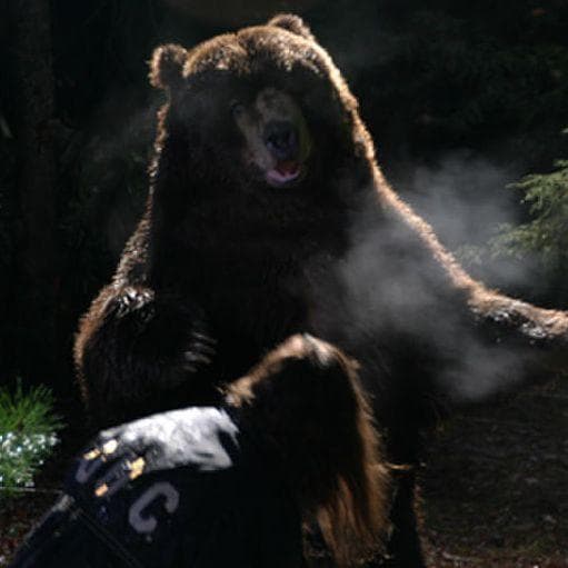 The 10 Best Killer Bear Horror Movies Of All Time