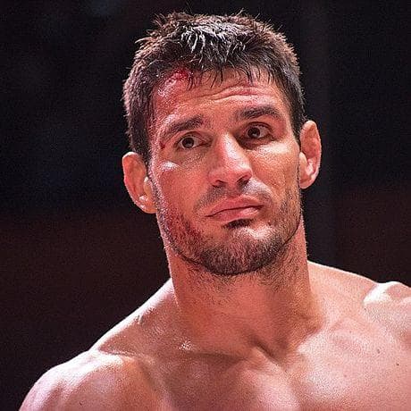 The Best Croatian UFC Fighters Of All Time, Ranked By Fans