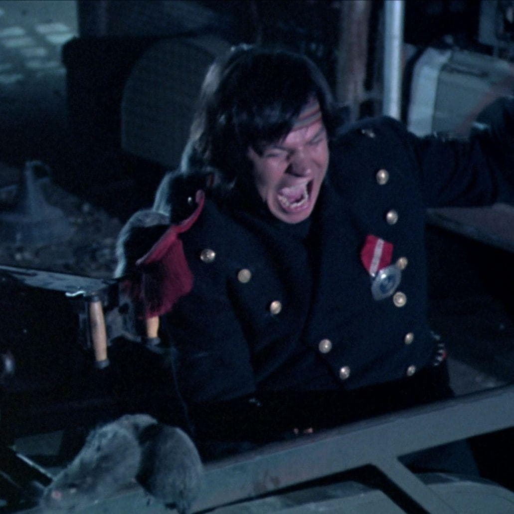 The 11 Best Horror Movies With Rats And Rodents Of All Sizes