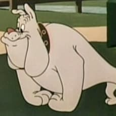 The Best Bulldog Cartoon Characters, Ranked By Fans