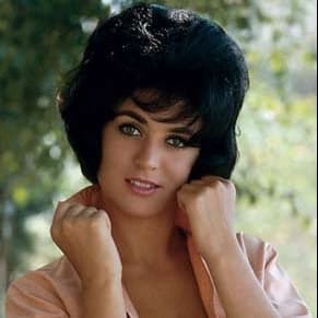 Playboy Cover Models Of The '60s