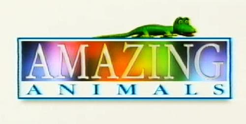 Best Discovery Kids Shows | List of Top Discovery Kids TV Programs and ...