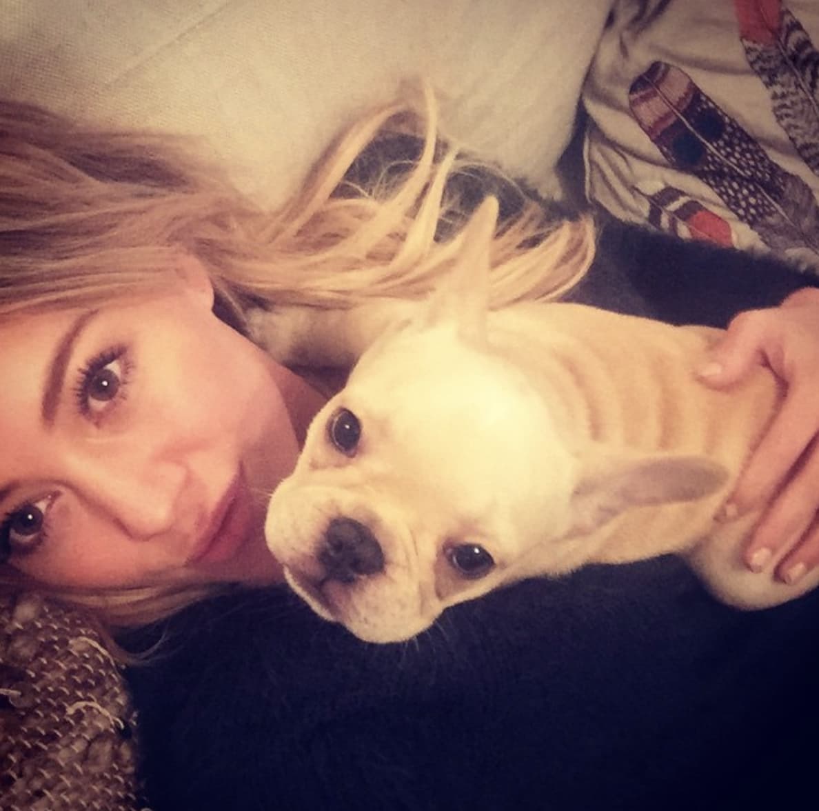 50+ Celebrities Who Really Love Their French Bulldogs