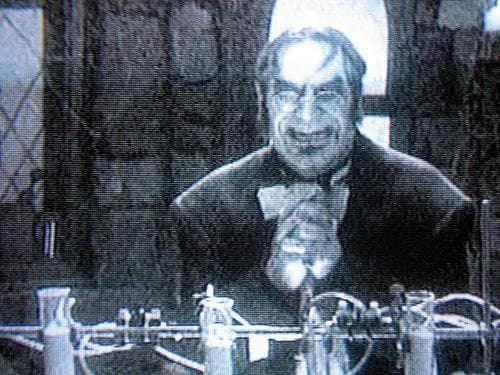 All Of Rob Zombie's Cameos, Ranked