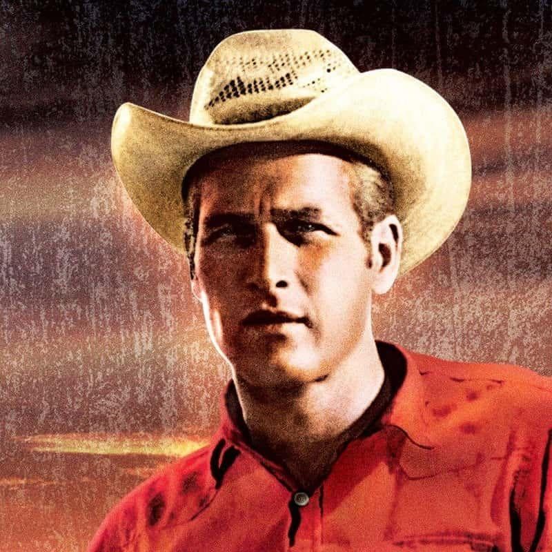 The Top 20 Paul Newman Movies, Ranked By Film Fans