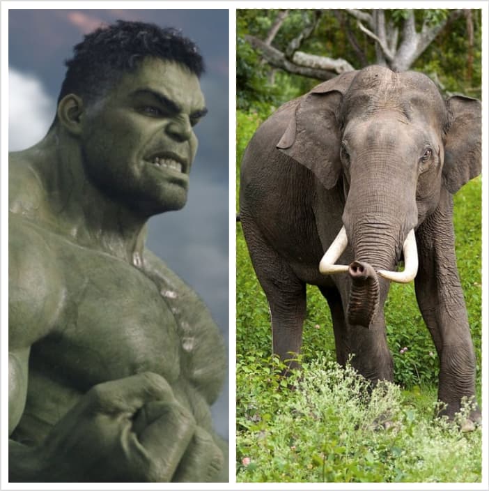 15 Giant Marvel Characters Compared to Real Life Humans