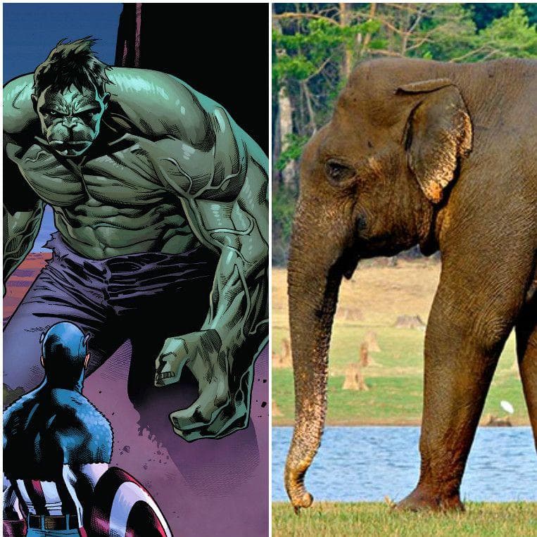 15 Giant Marvel Characters Compared to Real Life Humans