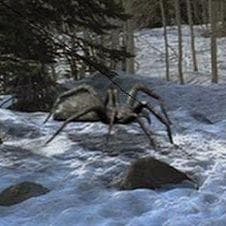 32 Scary Movies With Spiders, Ranked