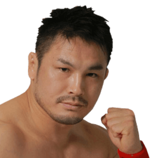 The 20 Best Japanese UFC Fighters Of All Time, Ranked By Fans