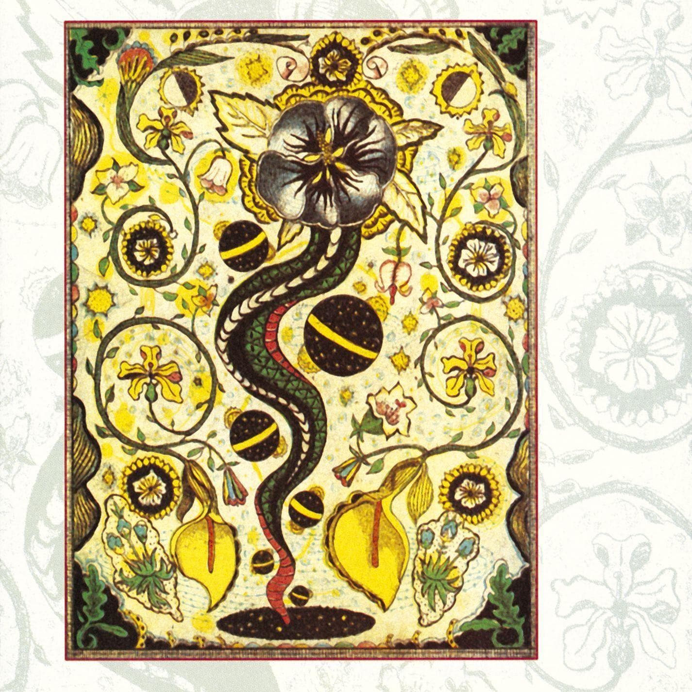 All 22 Steve Earle Albums, Ranked By Fans