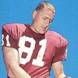 The Best Athletes Who Wore Number 81, Ranked By Fans