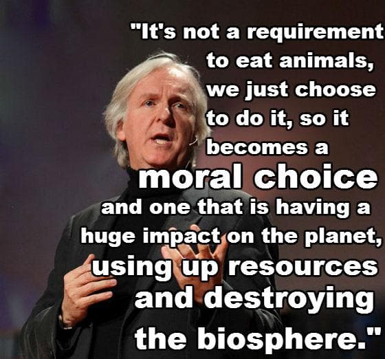 Celebrities Who Fight for Animal Rights | List of Famous People Who ...