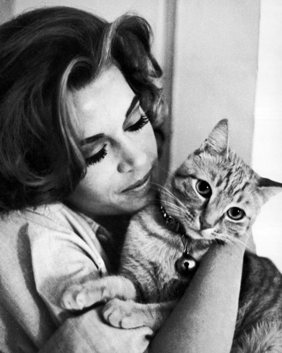 Celebrities Who Have Cats | List of Famous Cat People