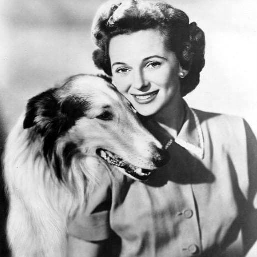 75+ Famous Jans | List of Famous People Named Jan