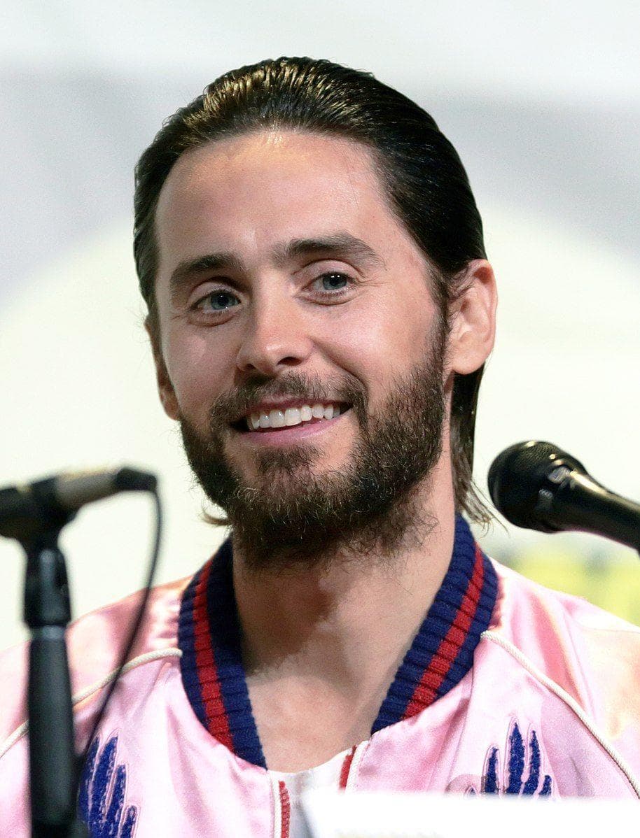 28 Celebrities Rumored To Have Famously Big Members