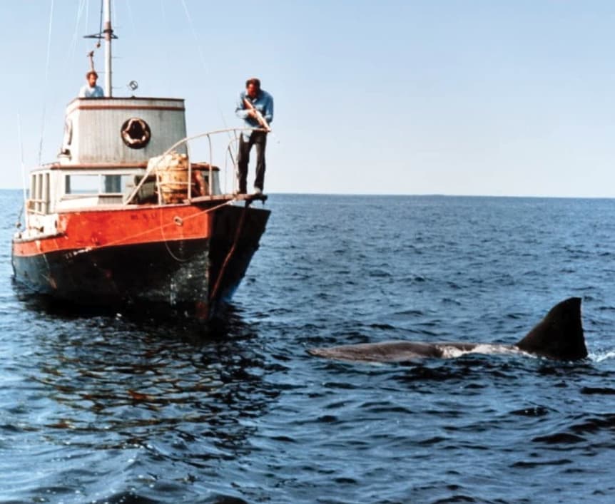 The 31 Scariest Ocean Horror Movies That'll Keep You On Dry Land