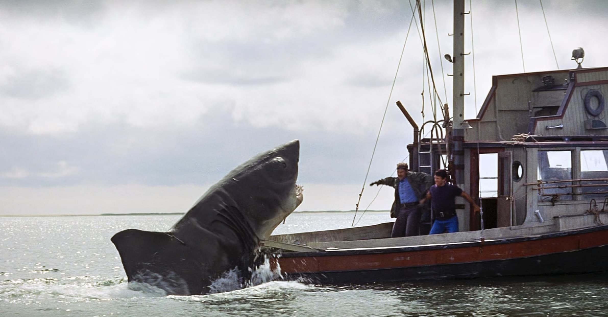The 9 Shark Movies Based On True Stories