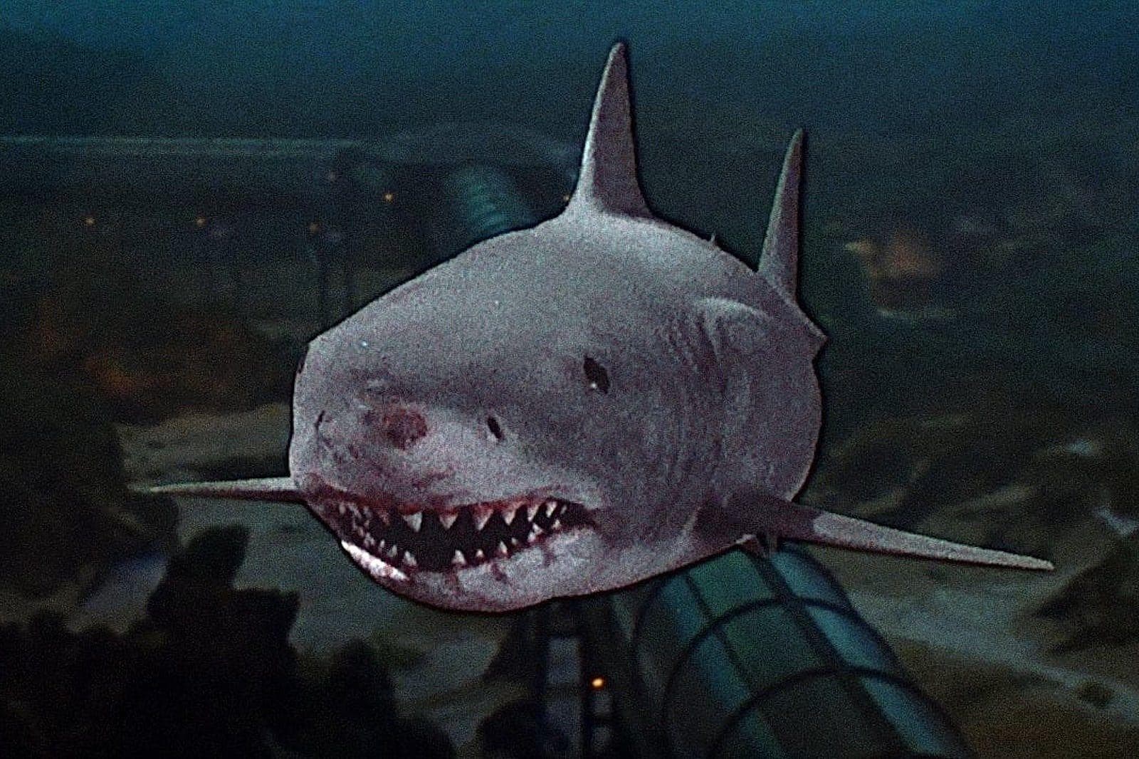 The 15 Worst Shark Movies of All Time, Ranked By Viewers