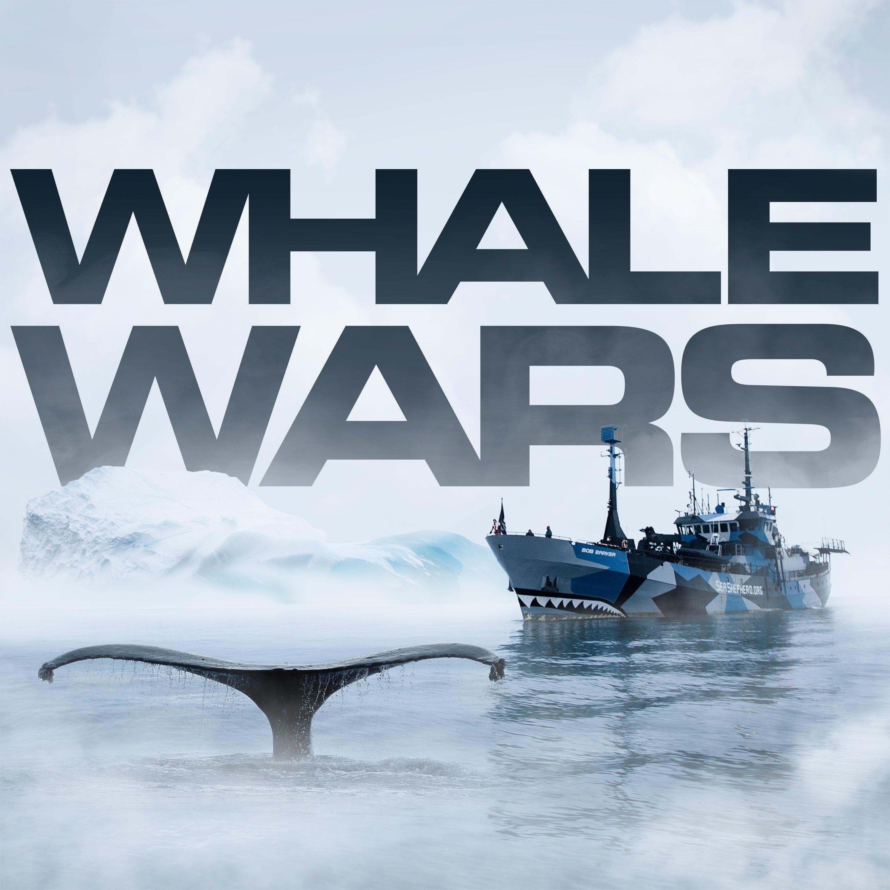 The Best Ocean Documentaries & Whale Docuseries, Ranked