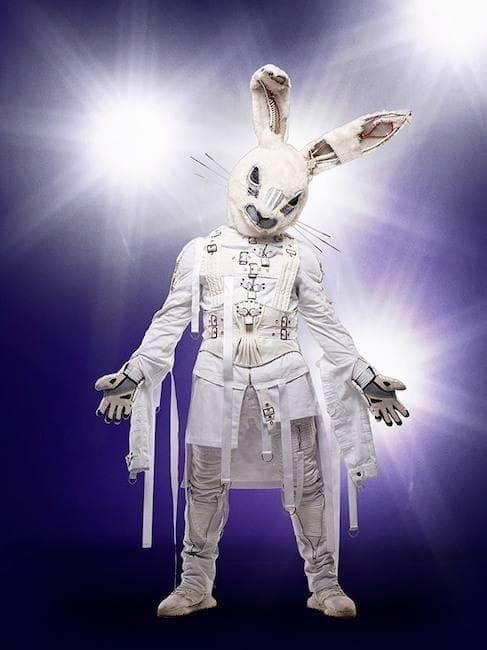 All The Masked Singer Clues About The Competitors For Season 1