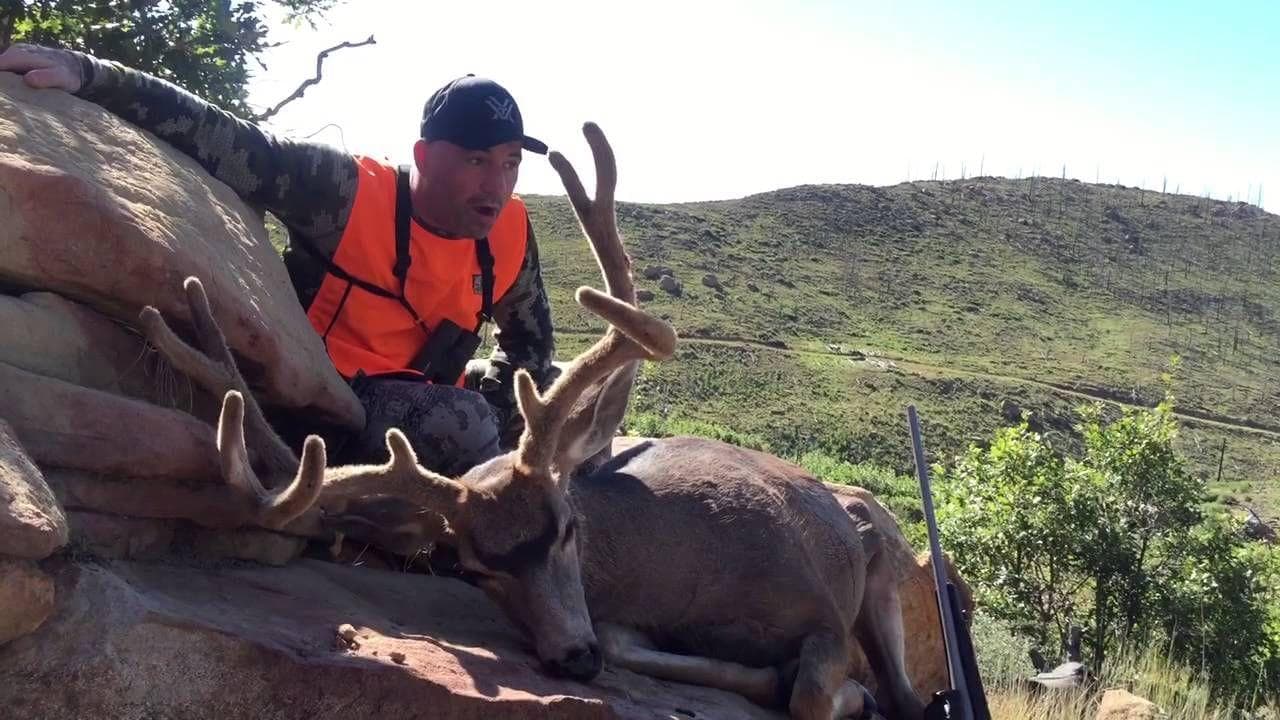 Pro-Hunting Celebrities & Celebrities Who Hunt
