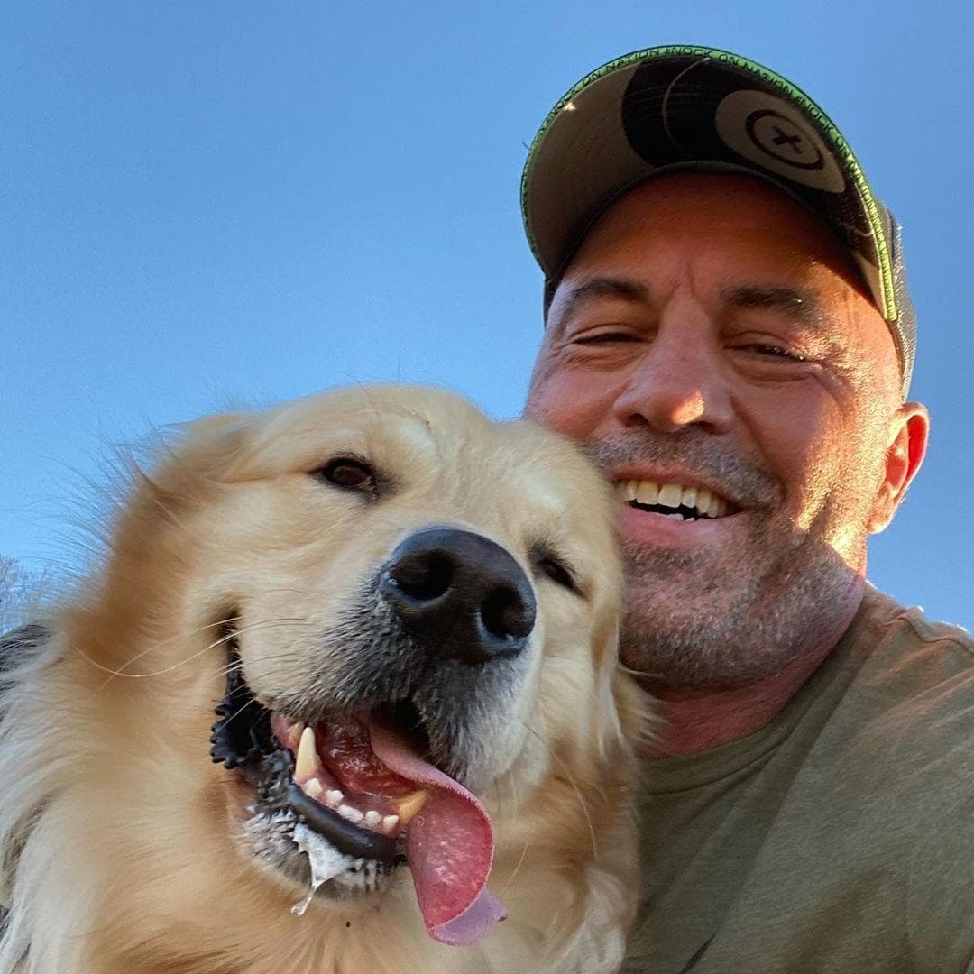 100 Famous Joes | List of Famous People Named Joe, Joseph, & Joey