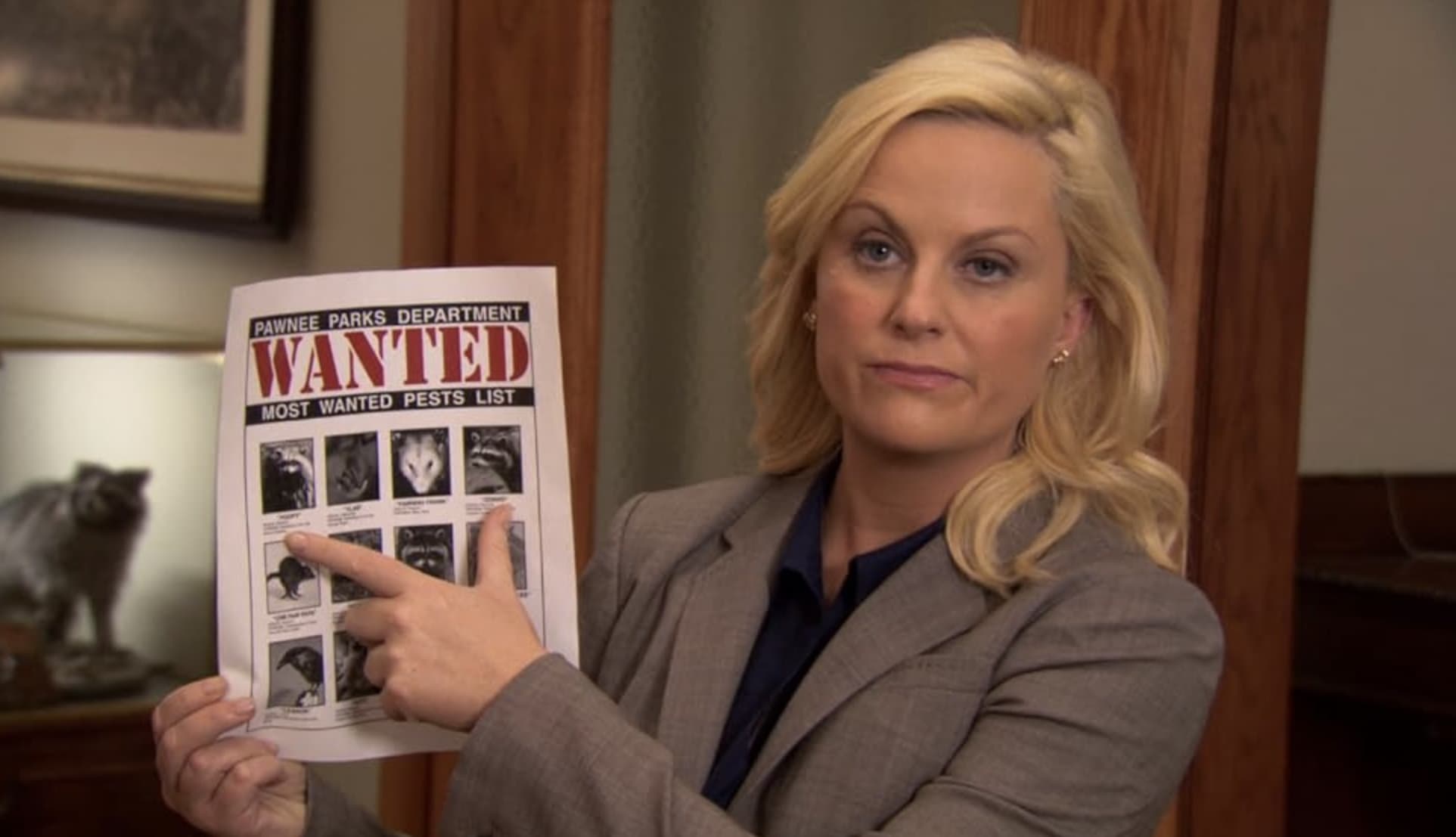 The 16 Best Sitcoms Without Laugh Tracks, Ranked