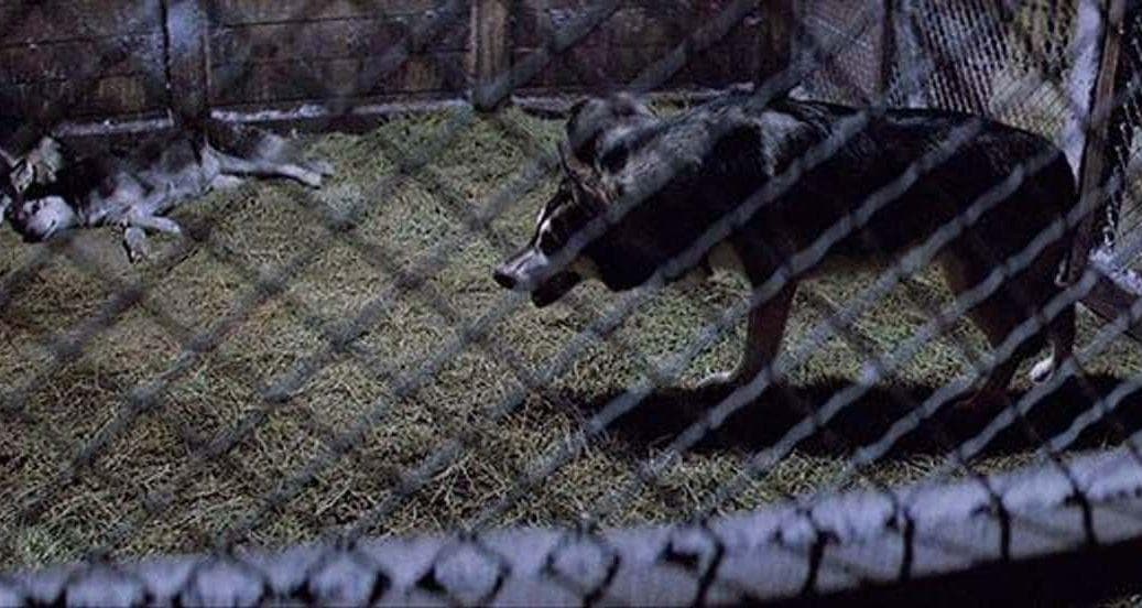 Extreme Horror Movie Moments That Nauseated Us All Over Again In 2022