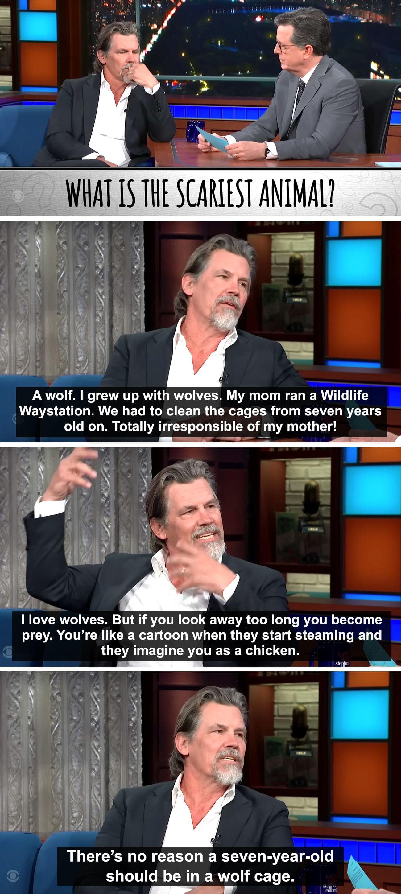 15 Hilarious Responses To Stephen Colbert's Questionnaire