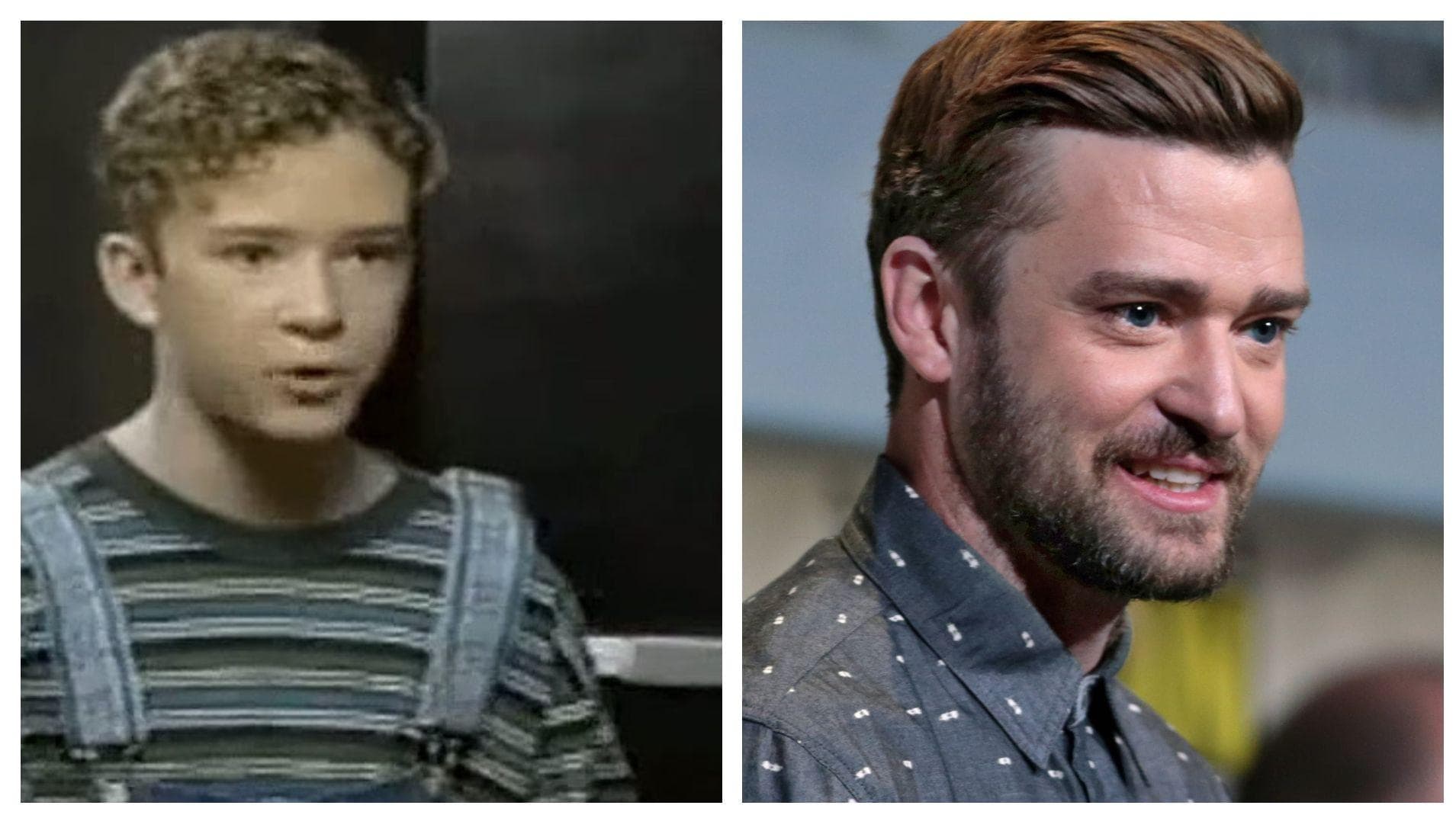 The Mickey Mouse Club: Where Are They Now?