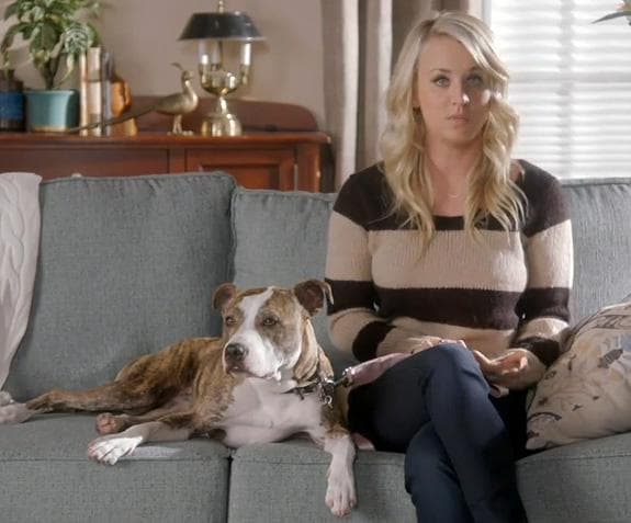 28 Celebrities Who Adopted Pit Bulls