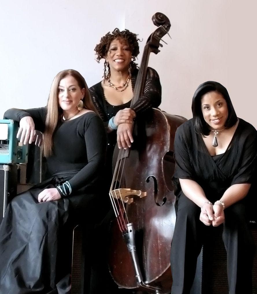 Famous Female Violinists | List of Top Female Violinists