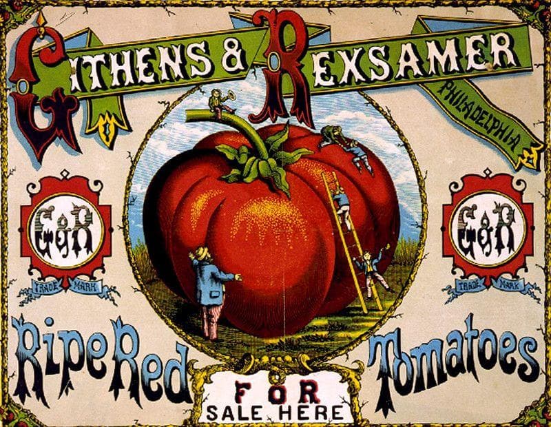 The Weirdest, Craziest Things Used as Medicine
