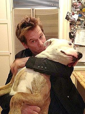 28 Celebrities Who Adopted Pit Bulls