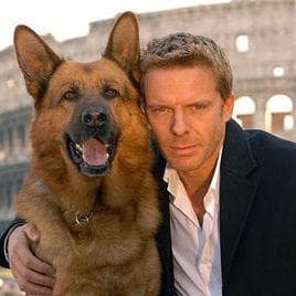 The Best Dog TV Shows & Shows About Dogs, Ranked by Votes