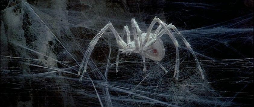 Terrifying Spider Scenes In Movies
